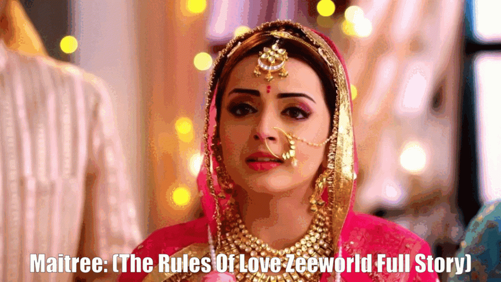 Maitree: The Rules Of Love Zeeworld Full Story - Visa Sponsorship